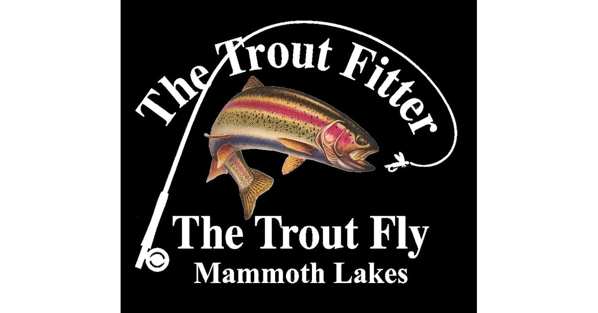 Fish Report - August 6th, 2025