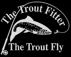 Fish Report - November 28th